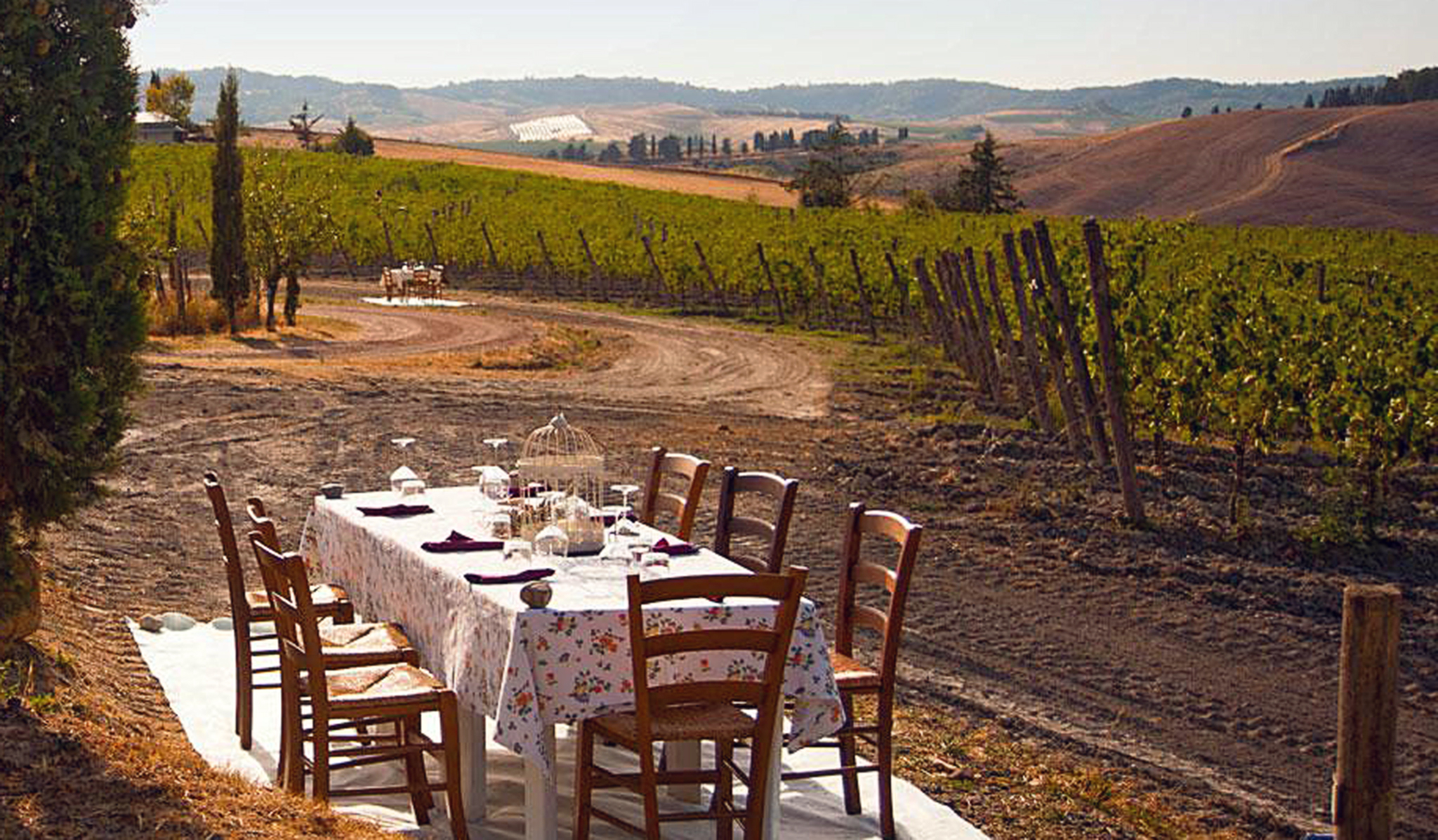 Travel to Terre di Pisa to discover new wine frontiers – Your Living City