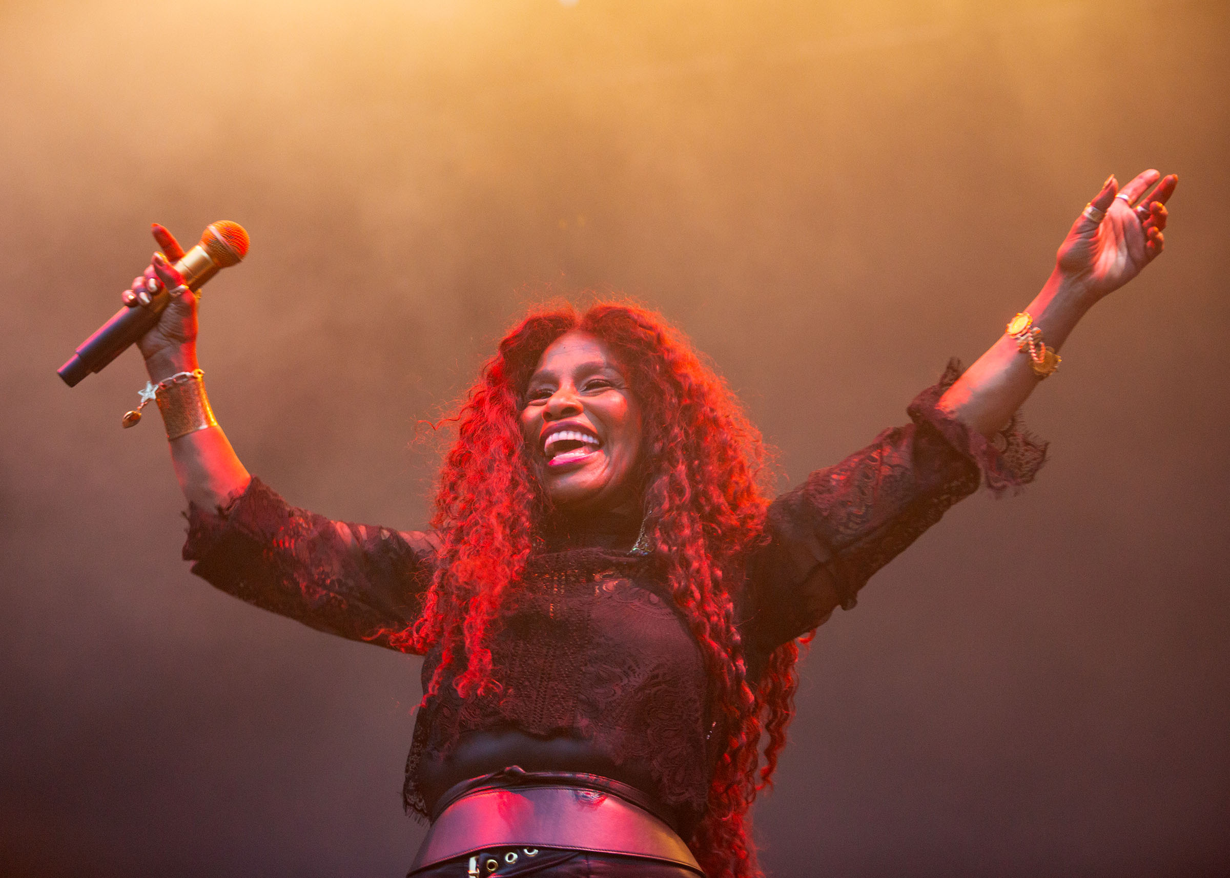 Rosendal 2025: Chaka Khan – the Queen of Funk still reigns supreme – Your Living City